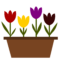 Tulpenrallye 2026 – MGTTO