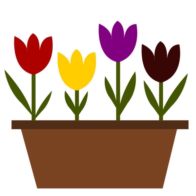 Tulpenrallye 2026 – MGTTO